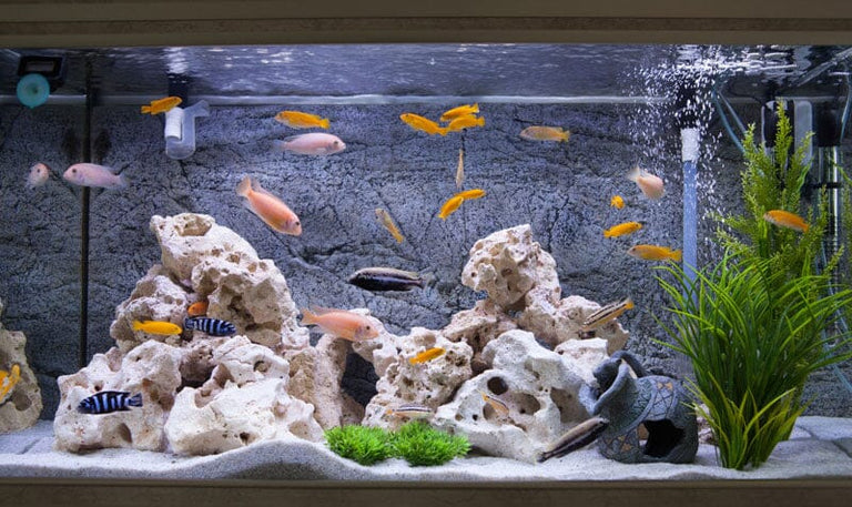 How to Choose and Use the Right Filter Media for Your Aquarium ...