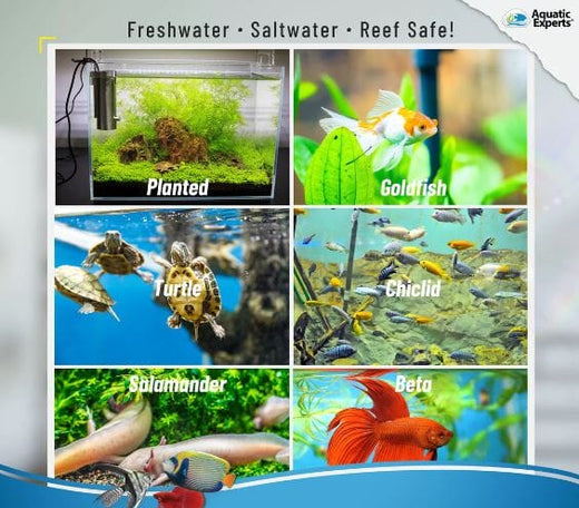 Aquarium Essentials: Water Additives for Healthy Fish – Aquatic Experts