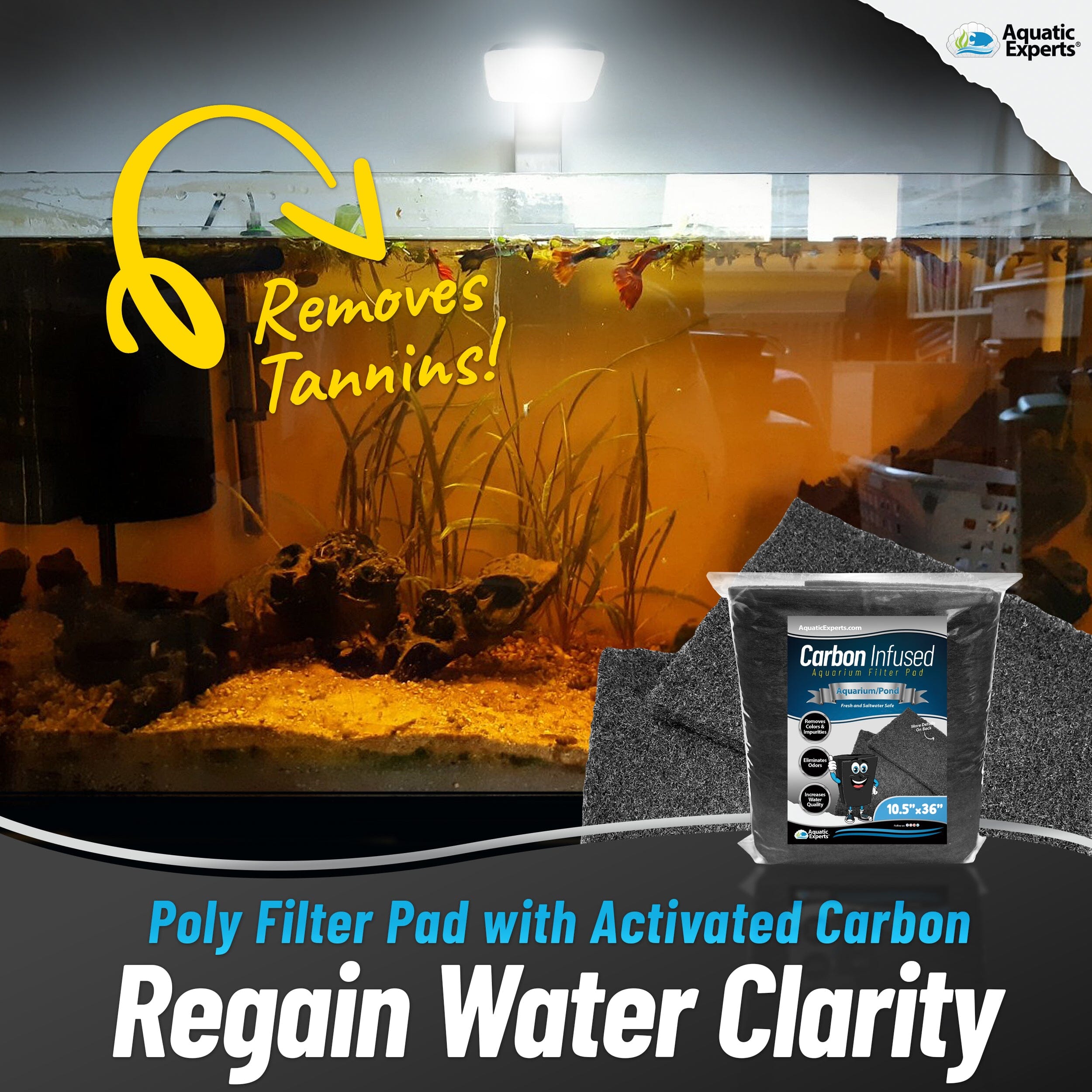 KloudAway - Freshwater Aquarium Water Clarifier - 500 ML – Aquatic Experts